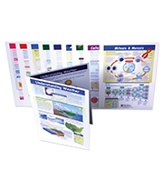 Earthquakes. 7th Grade Science Worksheets and Answer key, Study Guides ...